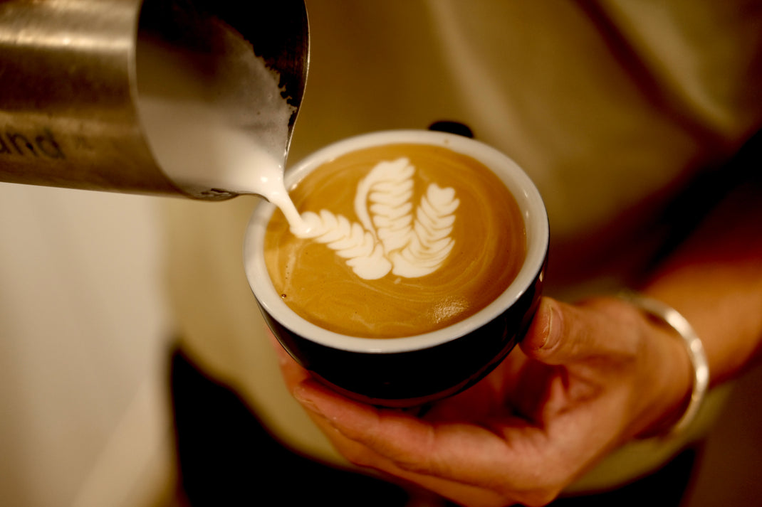 All Trainings - Award-Winning Barista Training in Perth, WA – Andune ...